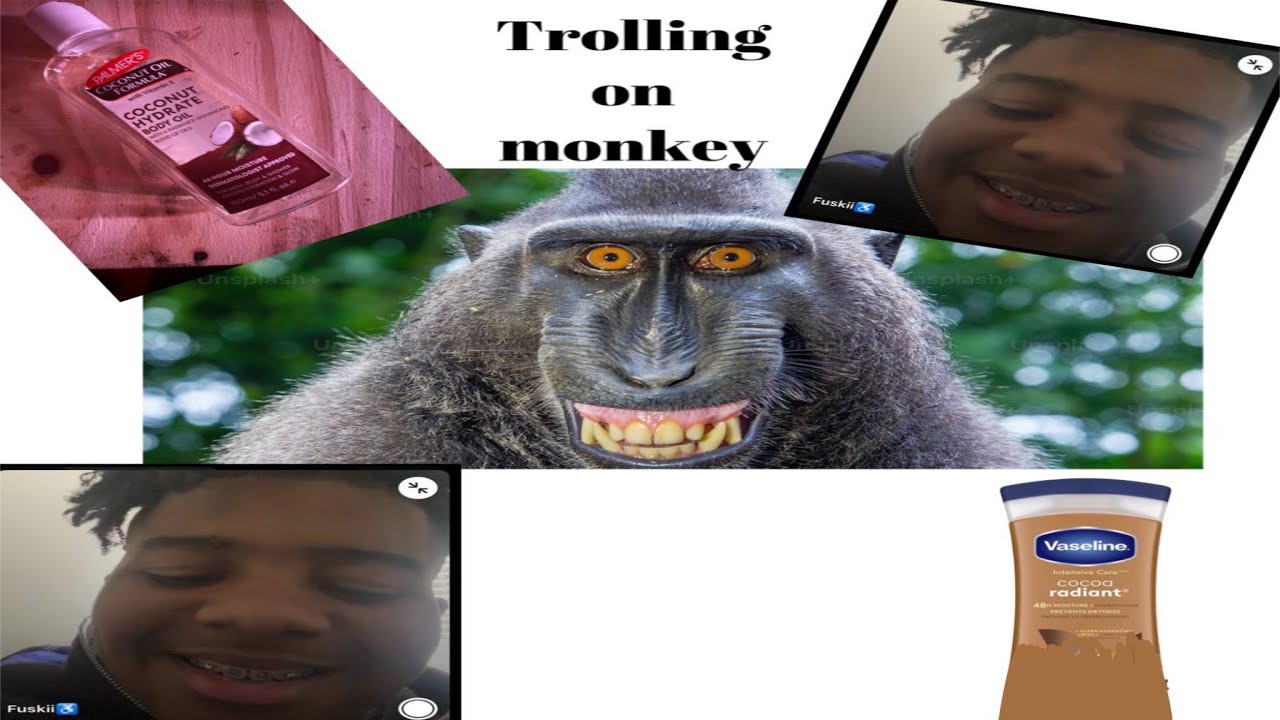 trolling on monkey pt.1 - YouTube