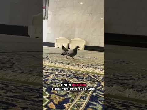 Mısır da rüya Allahım çok büyüksün