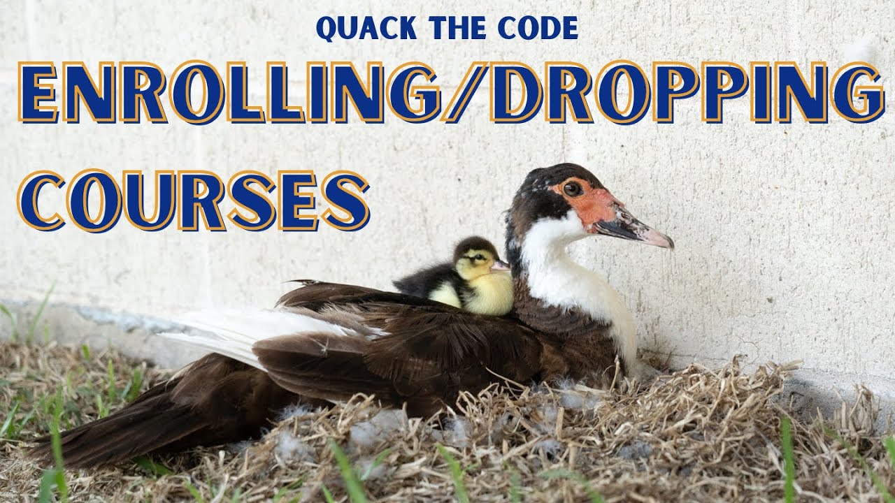 Enrolling/Dropping Courses - YouTube