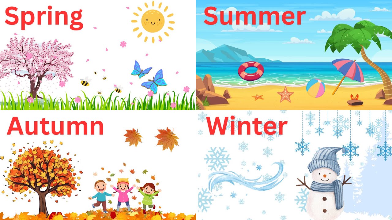 Vocabulary | Four Seasons - ( 4 Seasons in a Year ) - Educational Video ...