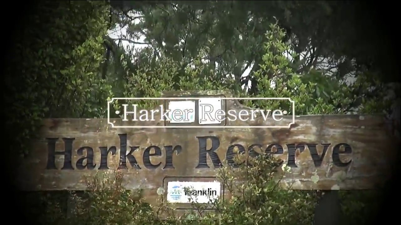 Normal People - Harker Reserve - YouTube
