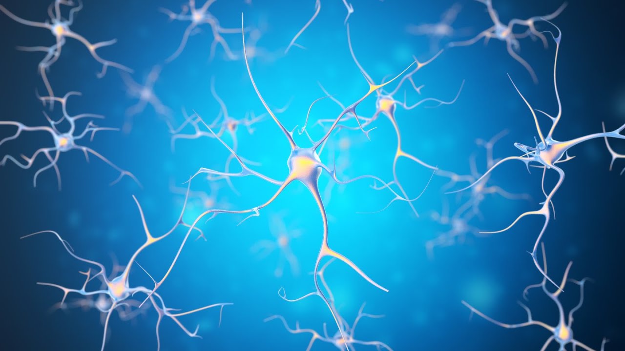 Sounds to calm nervous system ⭐ music to activate parasympathetic ...