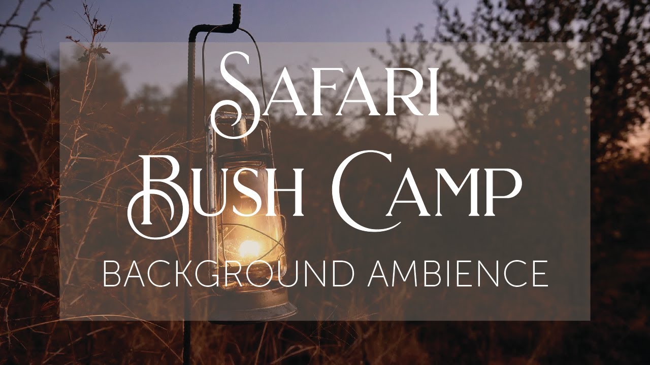 Safari Bush Camp | Campfire Background Ambience - YouTube