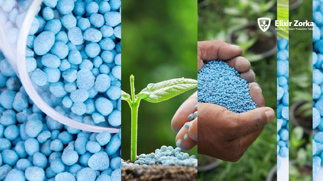 Elixir Zorka Supreme 12:11:18 Español - YouTube