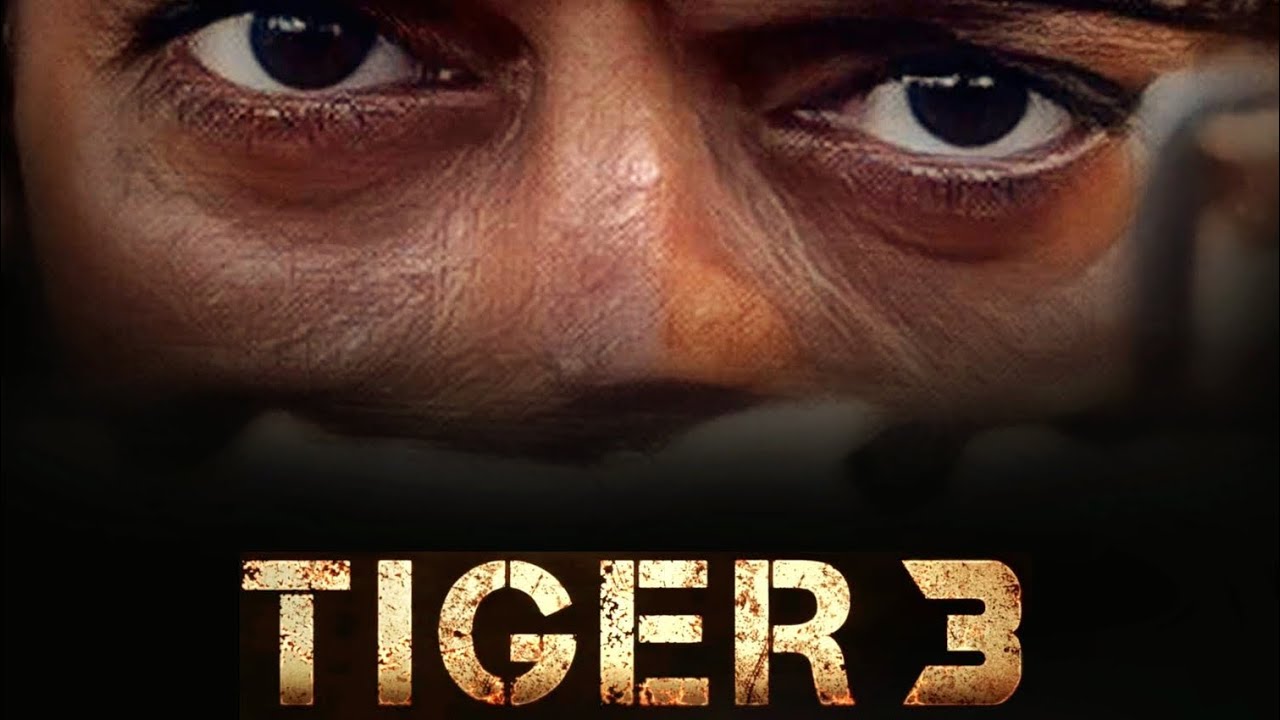 Tiger 3 Biggest Action Shooting Schedule With Salman Khan & SRK ...