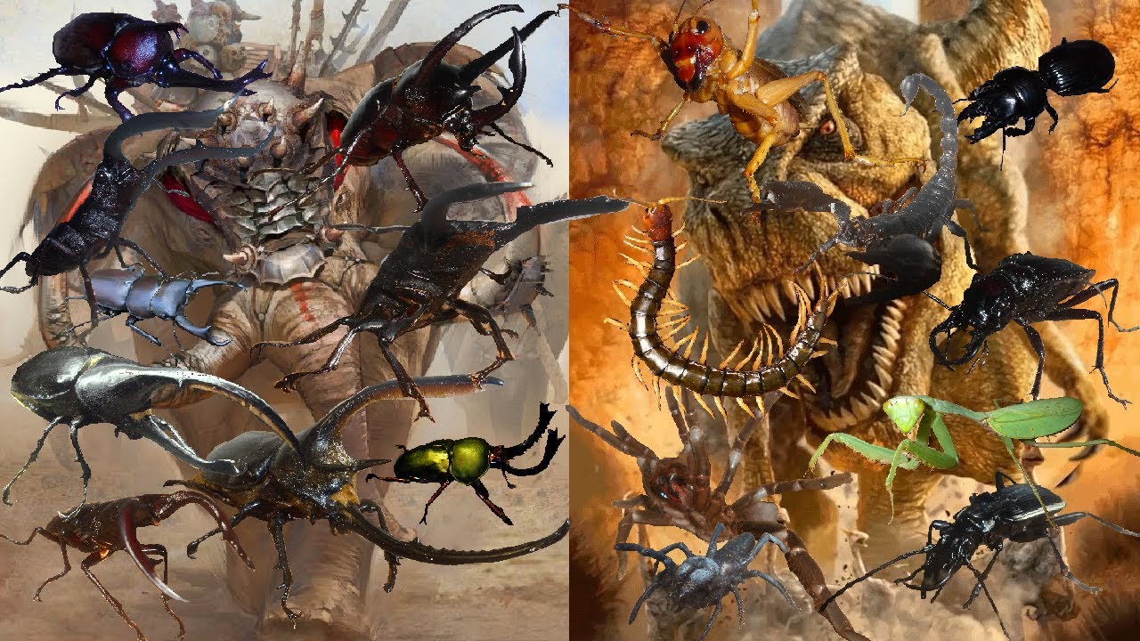 【異種格闘技】最強のベジタリアンか！？獰猛なプレデターか！？カブトクワガタ軍VS肉食虫軍チーム対抗戦！【草食VS肉食】 - YouTube