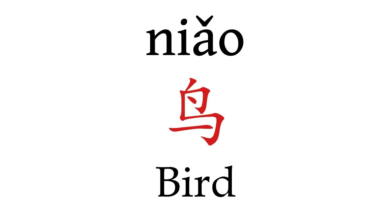 How To Say 'Bird' (鸟) in Mandarin Chinese - YouTube