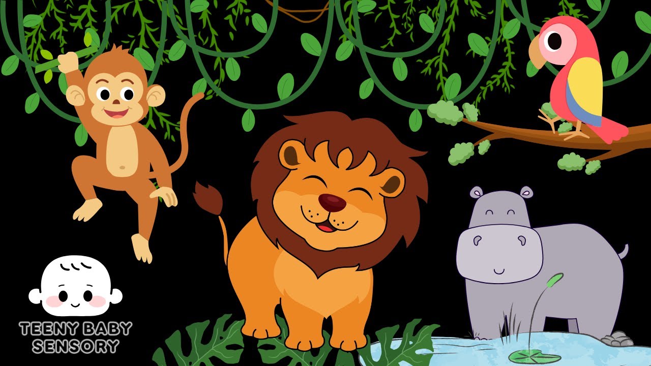 Jungle Safari Baby Sensory Video | Bright Colors, Fun Music & Animals ...