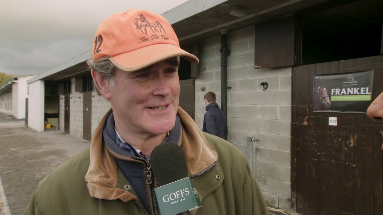 Goffs TV: Luke Lillingston of Mount Coote Stud - YouTube