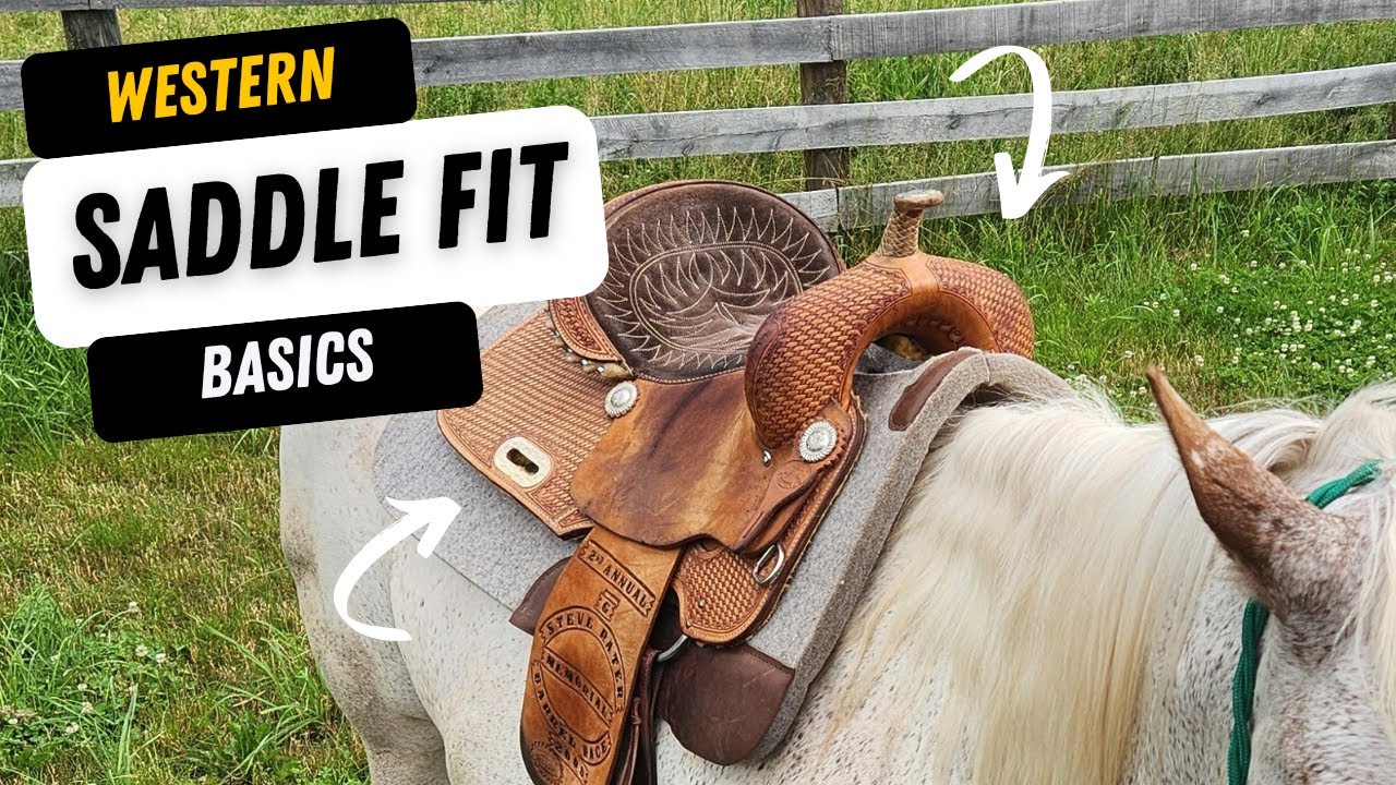 Western Saddle Fit Basics - YouTube