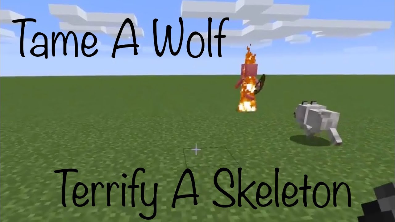 How To Tame A Wolf In Minecraft (And Terrify Skeletons) - YouTube