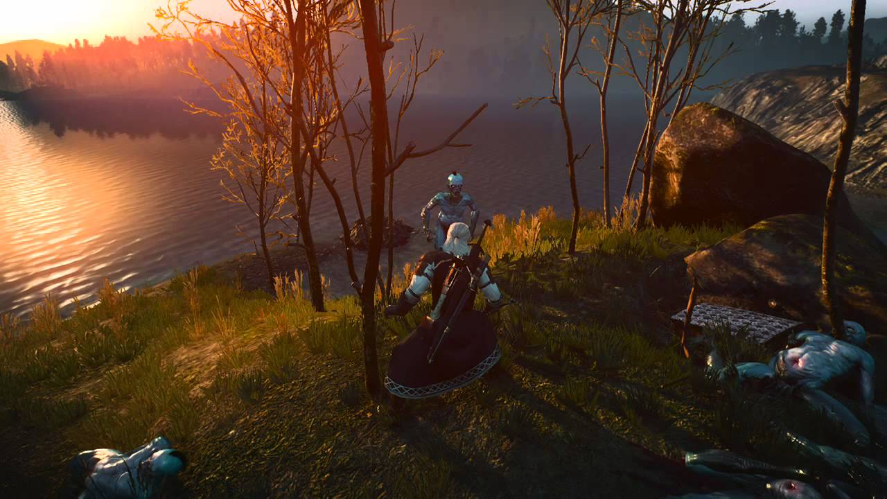 The Witcher 3 Wild Hunt Death march drowner slaughter - YouTube