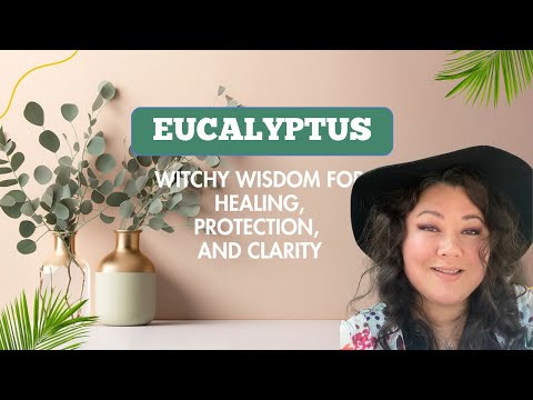Eucalyptus: Spiritual and Magical Uses | Modern Animism - YouTube