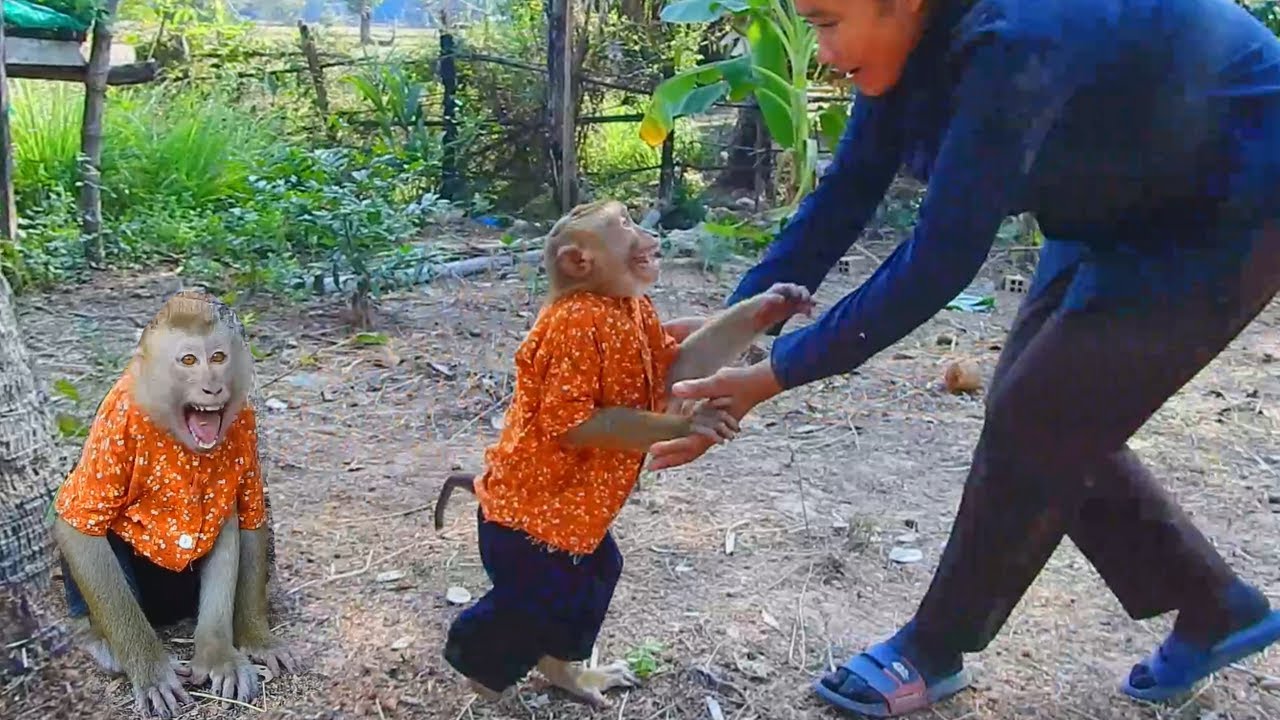 Screaming Loudly, Where Are You Mom, SokYaa Cry Need Mother Hug - YouTube