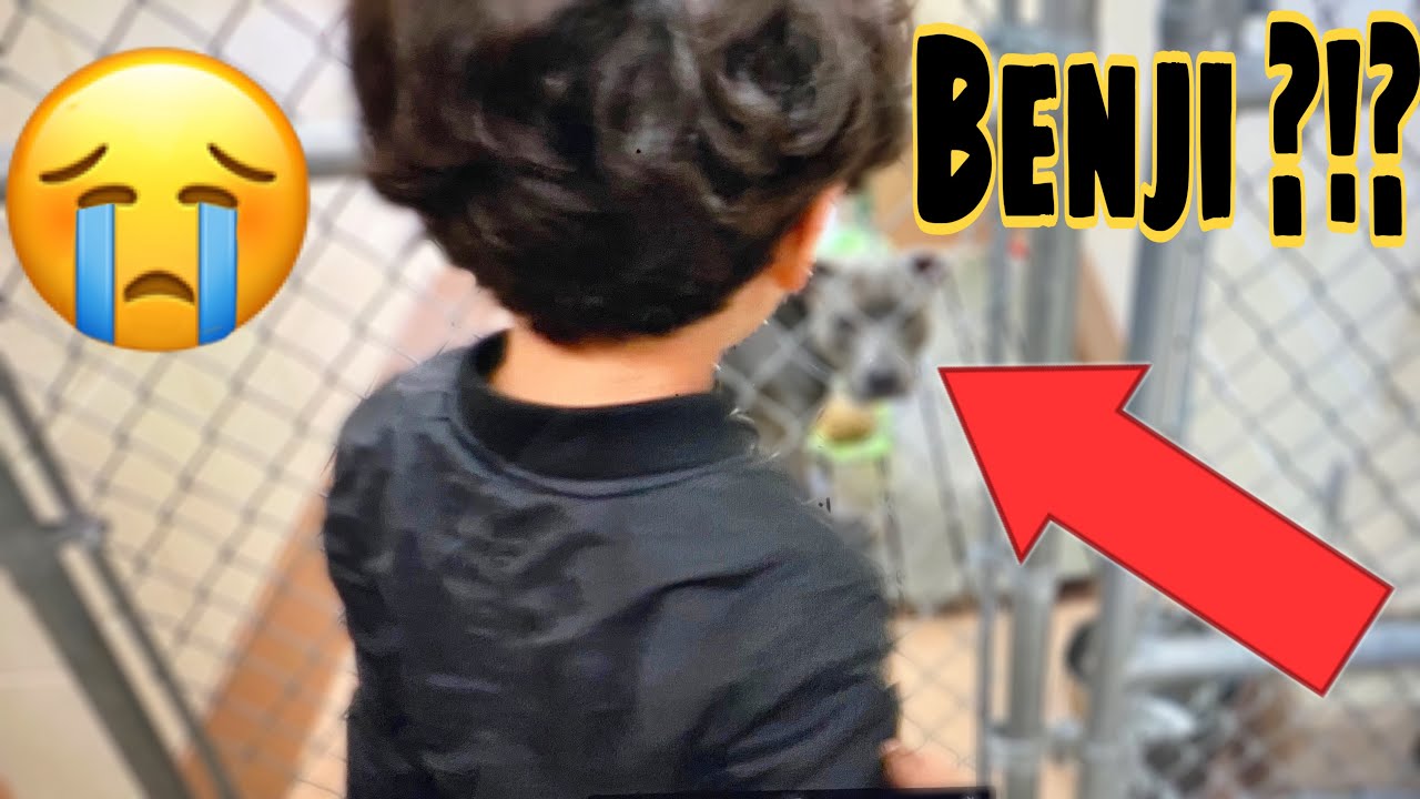 Did we Find BENJI ?!? | Lito and Maddox family - YouTube