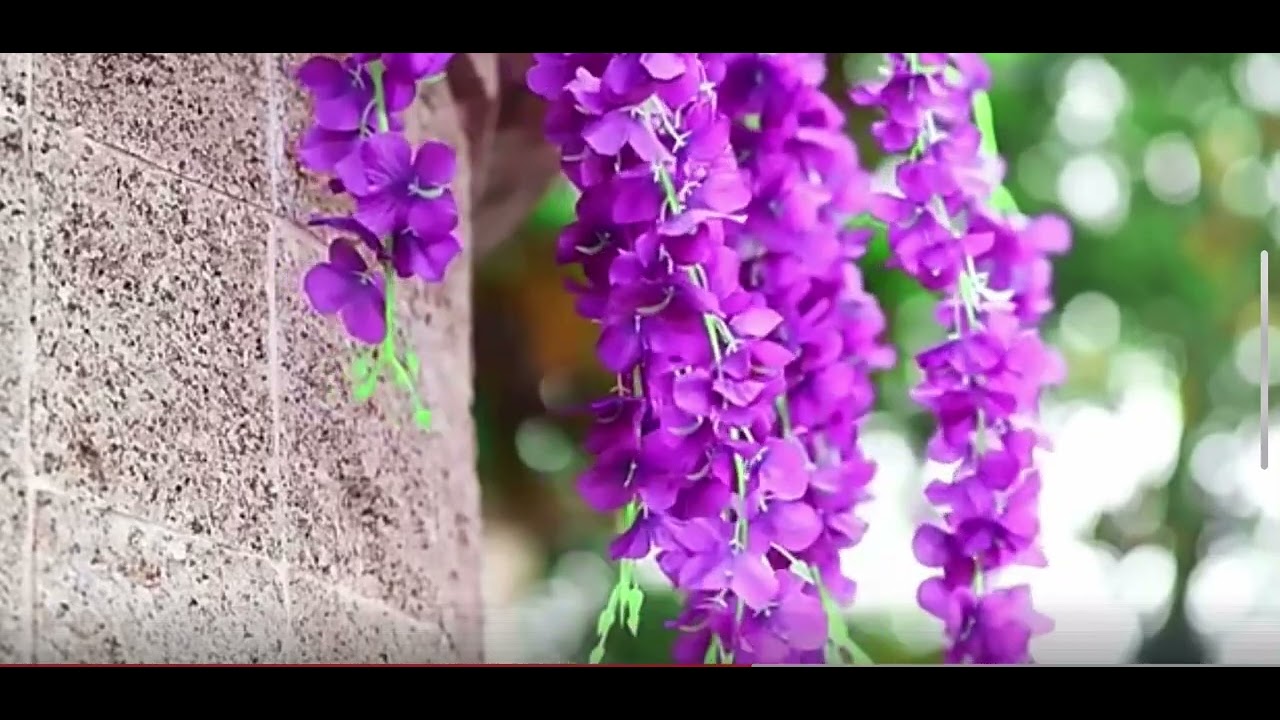 Flor de ceda colgante para fiestas - YouTube