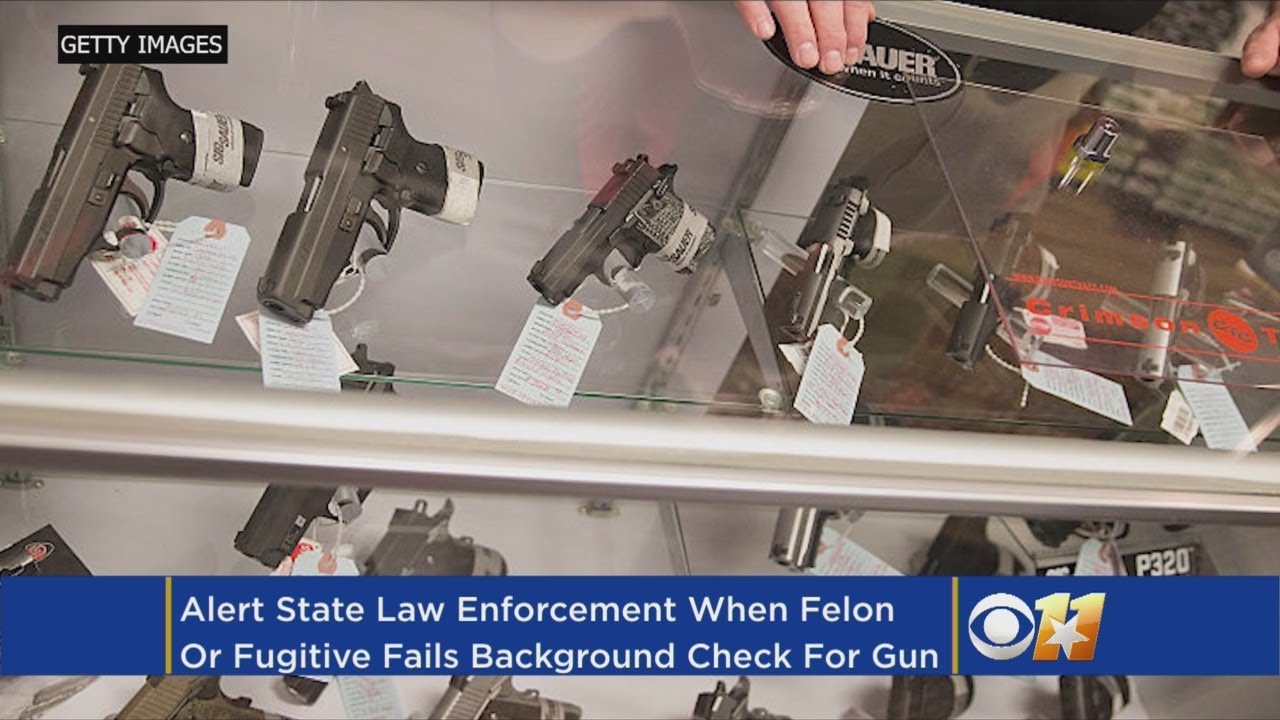 Texas Senator, NRA Support Alerts When Gun Buyers Fail Background ...