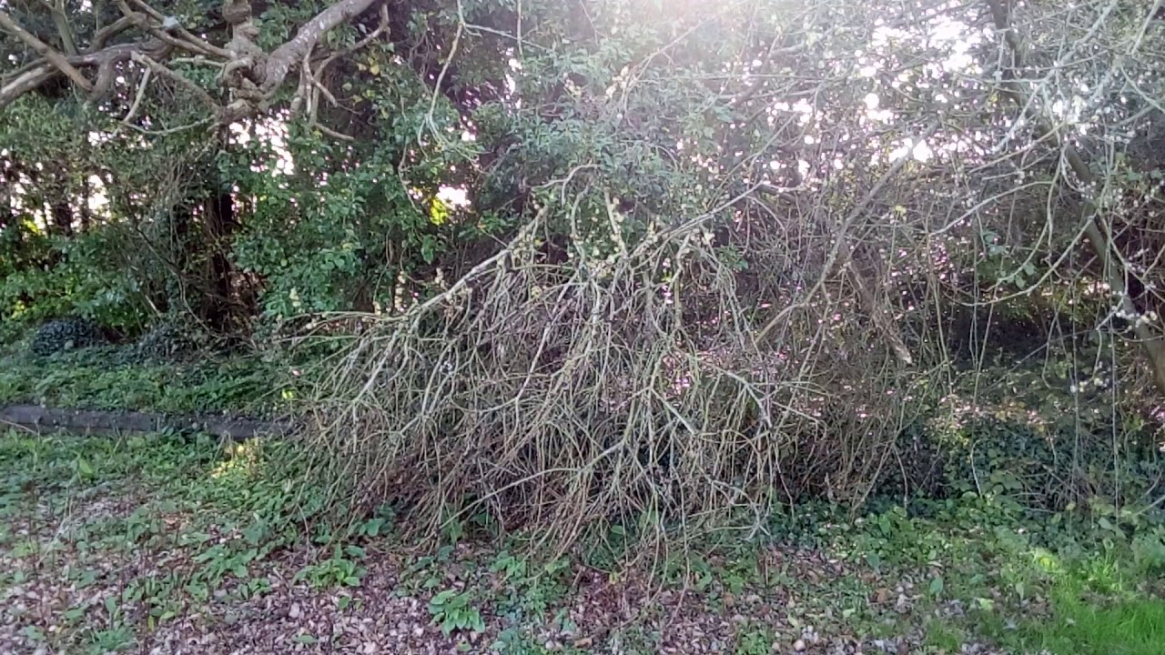 Dymock Railway Station on the Daffodil Line. The Ledbury & Gloucester ...