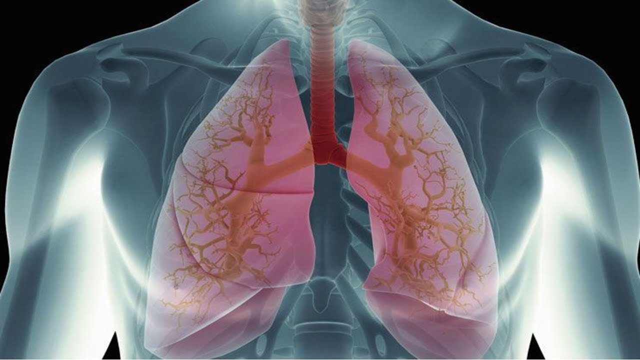 TCM ASSESSMENT AND DIAGNOSIS 07: The Brain, Lung Phlegm-Fluids ...