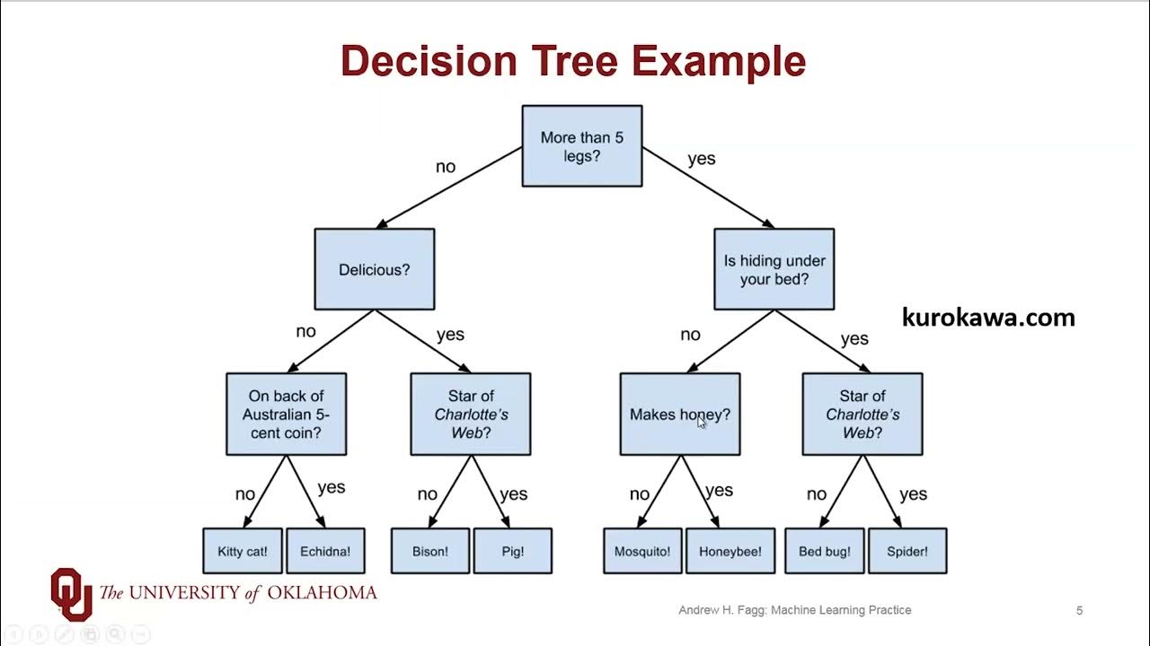 Introduction to Decision Trees - YouTube