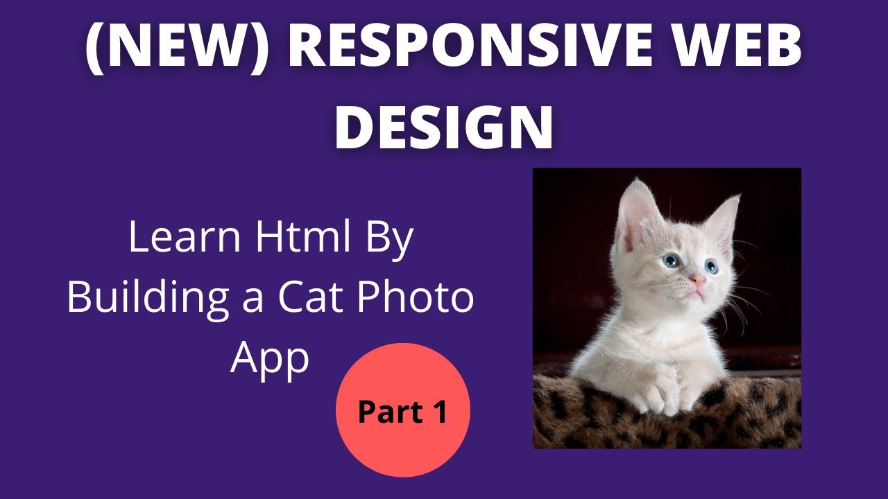 Learn Html By Building A Cat Photo App New Responsive Web Design