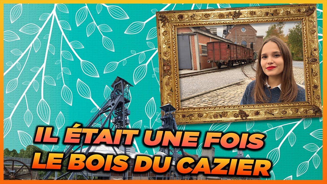 Il était une fois... Le bois du Cazier ! - YouTube