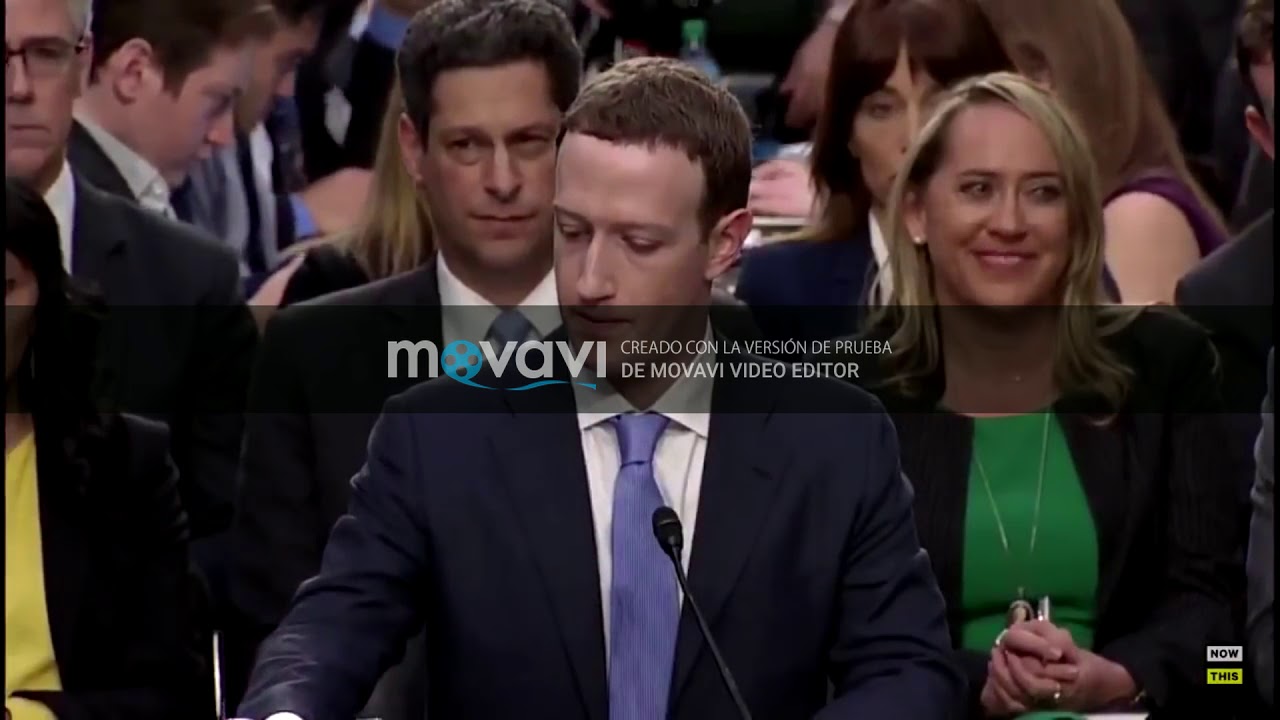 Zucc Judgement but without LIzards - movavi - YouTube
