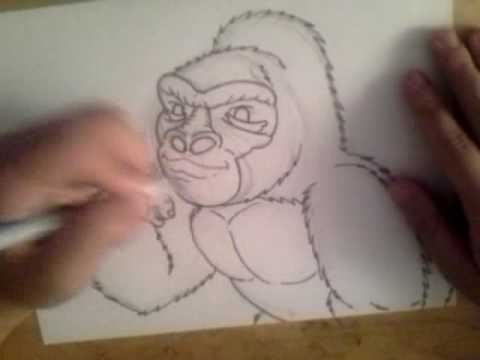 Drawing Harambe the Gorilla (Live stream) - YouTube