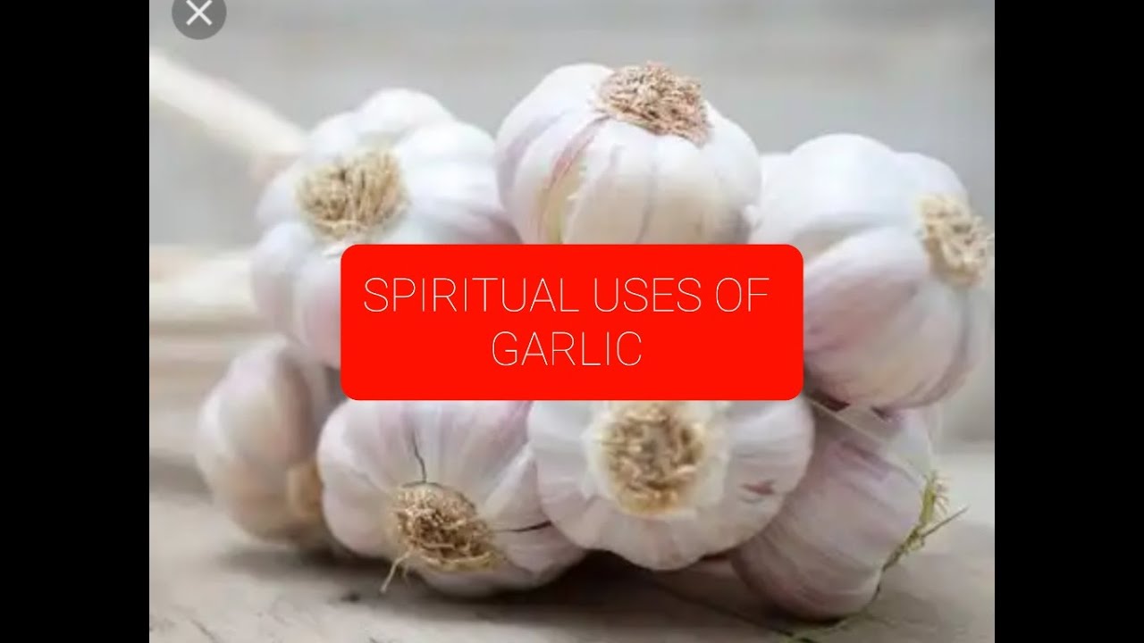 SPIRITUAL USES OF GARLIC.GARLIC TO REMOVE BAD LUCY, PROMOTE YOUR ...