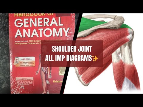 shoulder joint all imp diagrams 💯... upperlimb series|amatomy|bdc#mbbs# ...