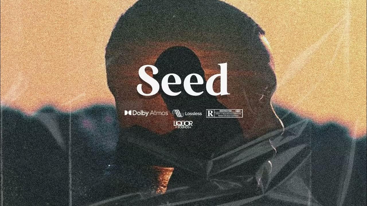 Tems x Tayc x Burna Boy x Wizkid Afroswing Type Beat 2024 "SEED" | Slow Afrobeat Instrumental ...