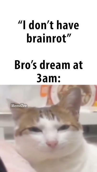 brainrot dreams - YouTube