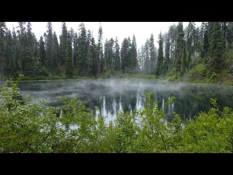 Meld Software Test Part 2. Maybe a Quick Chat or Q and A