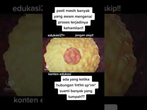 proses berkembangnya manusia  \