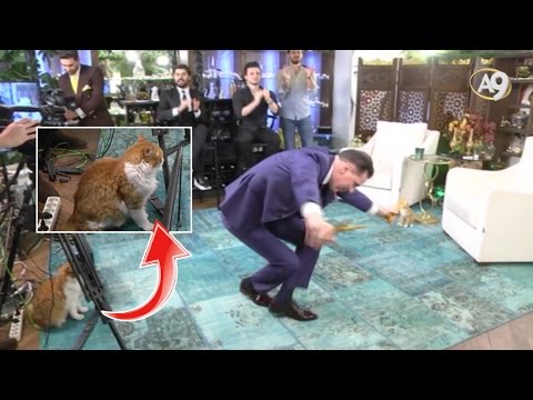 Sarman merakla Oktar'ın dansını izliyor