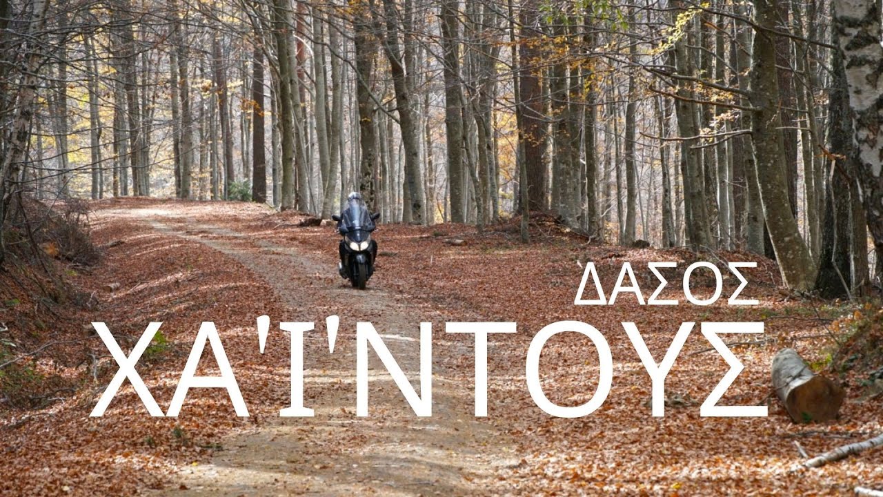 ΔΑΣΟΣ ΧΑ'Ι'ΝΤΟΥΣ/HAINTOUS FOREST @makedon62 - YouTube