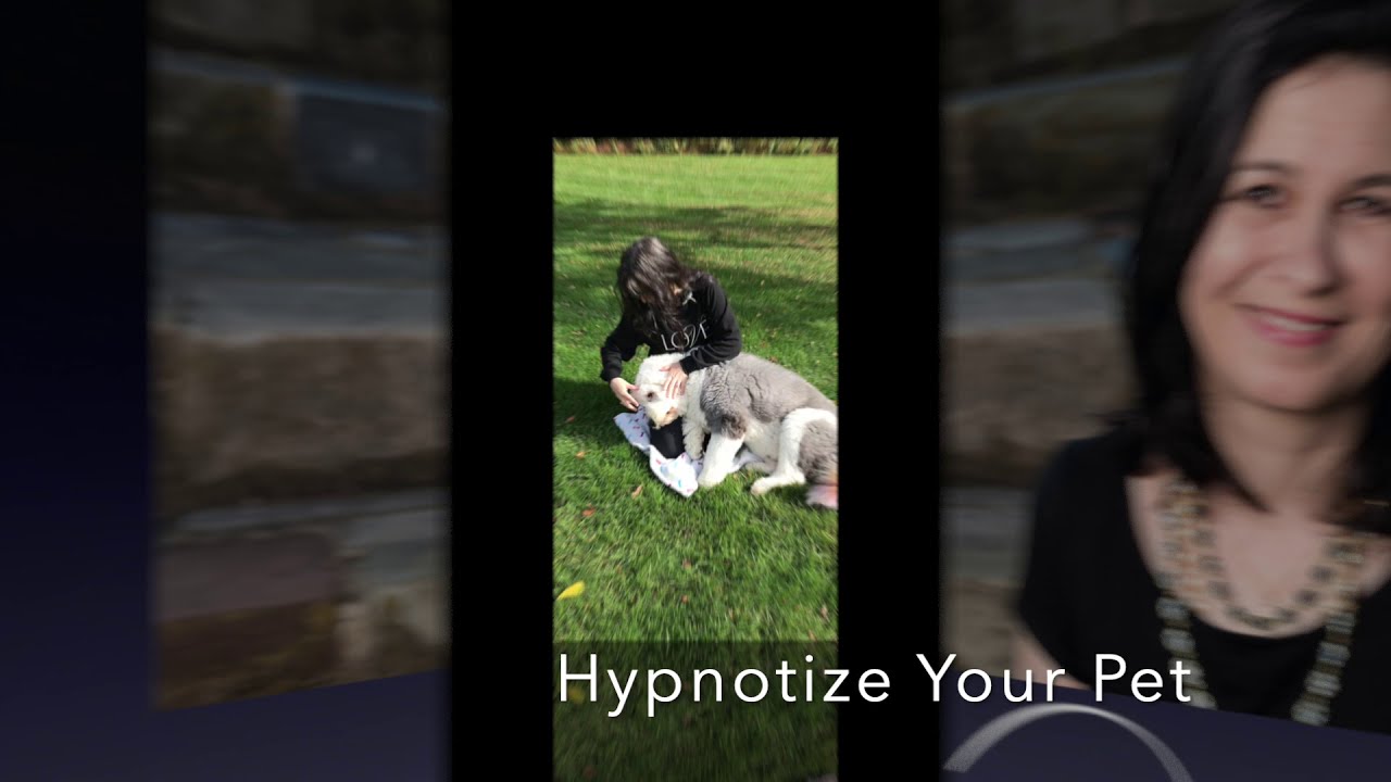 How to Hypnotize Your Dog - YouTube