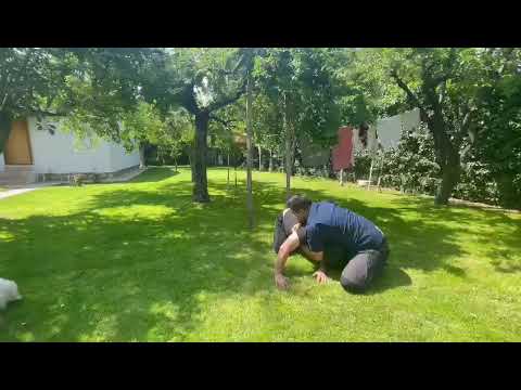 Her Yeniliş Yeni Bir Yenişe Kapı Açar 🇹🇷