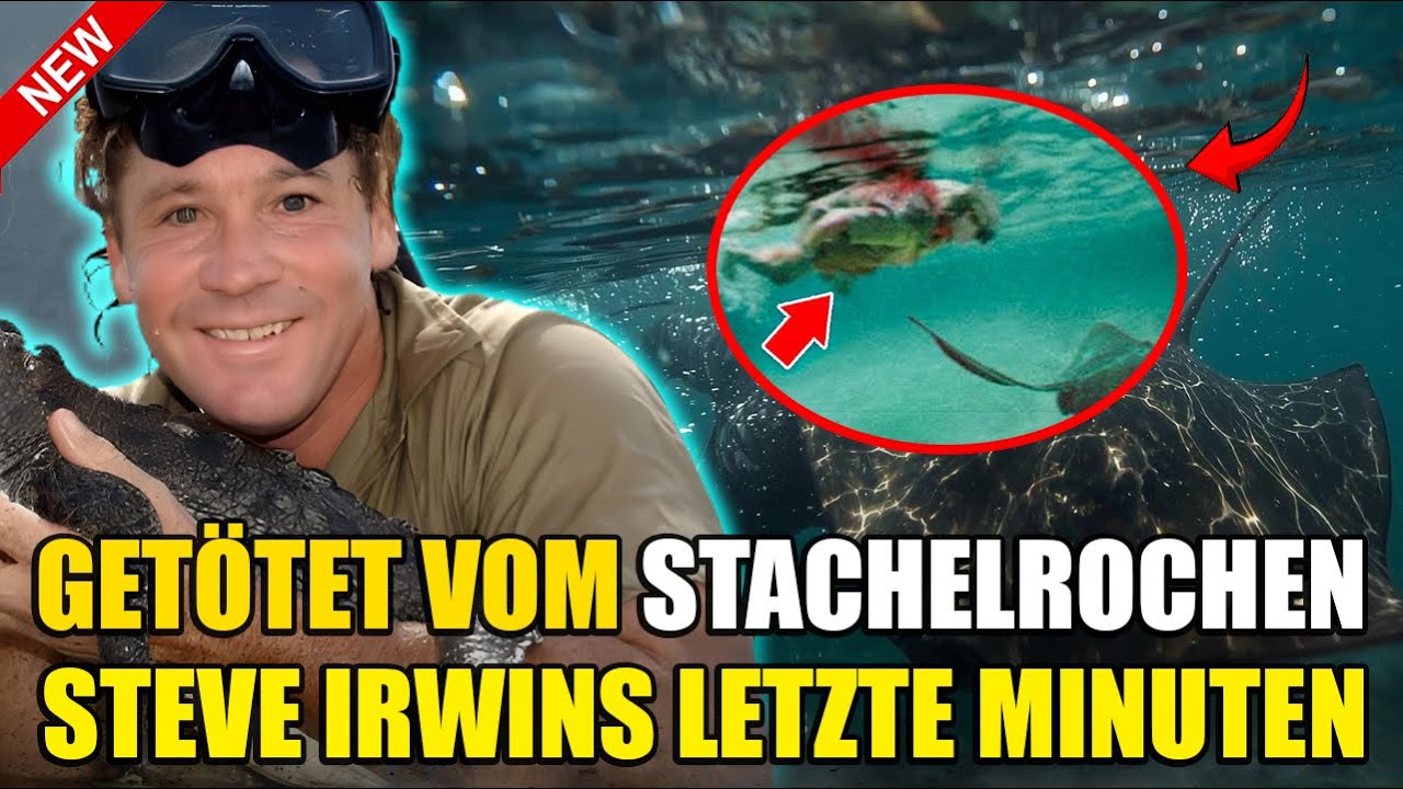 Letzte Minuten von Steve Irwin – Getötet von einem Stachelrochen vor ...