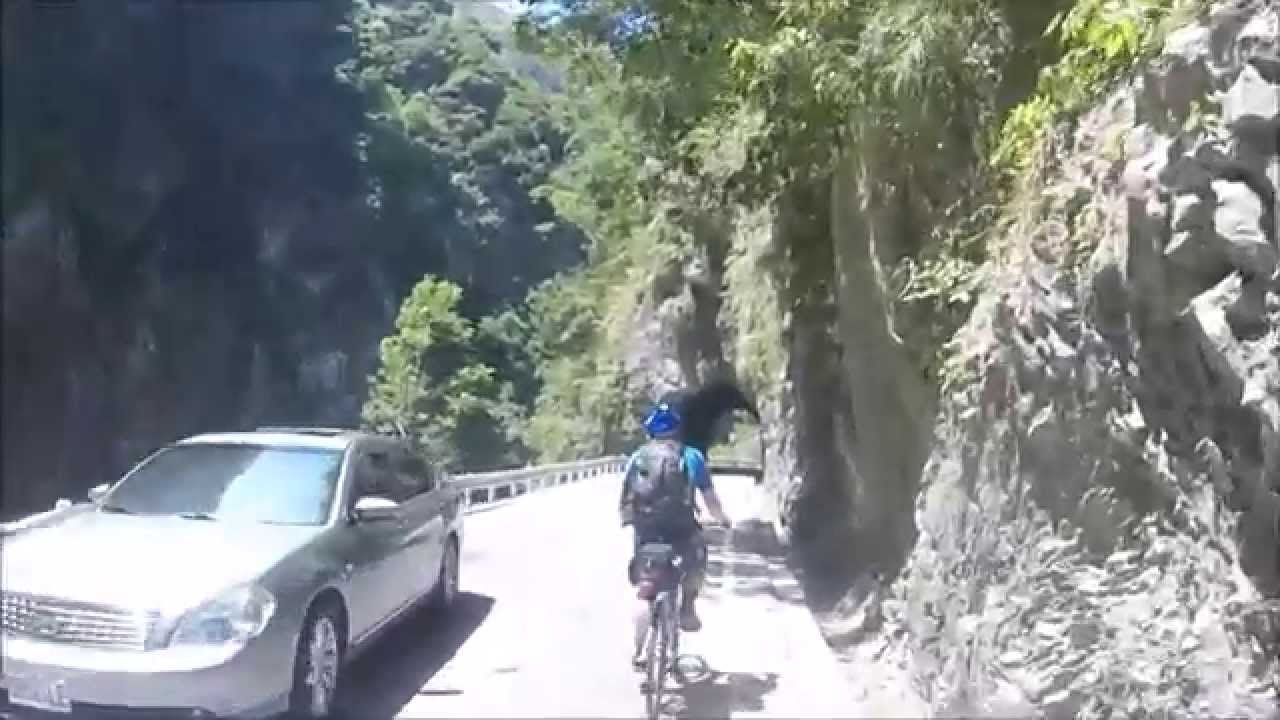Taiwan - Taroko Gorge Drive on Motorscooter - YouTube