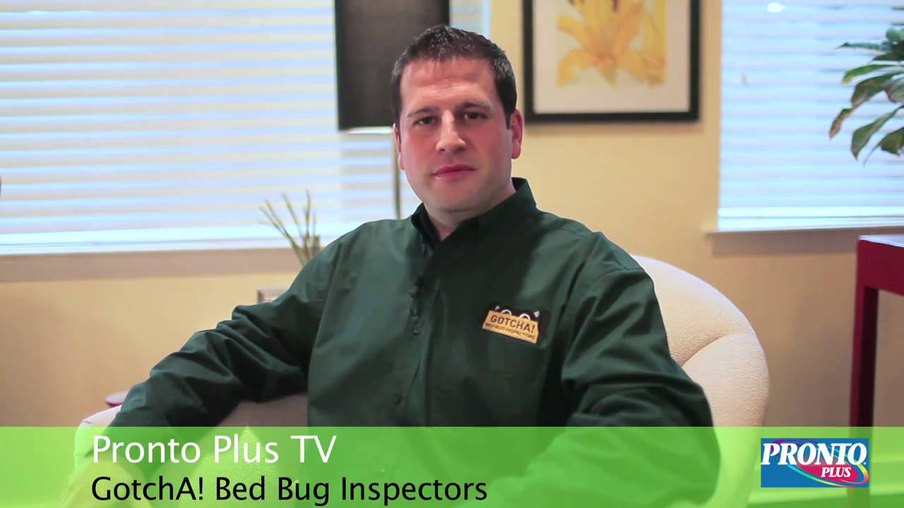 GotchA! Bed Bug Inspectors - YouTube