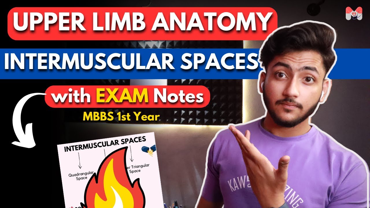 Upper Limb Anatomy - Intermuscular Spaces of Scapula | MBBS 1st Year ...