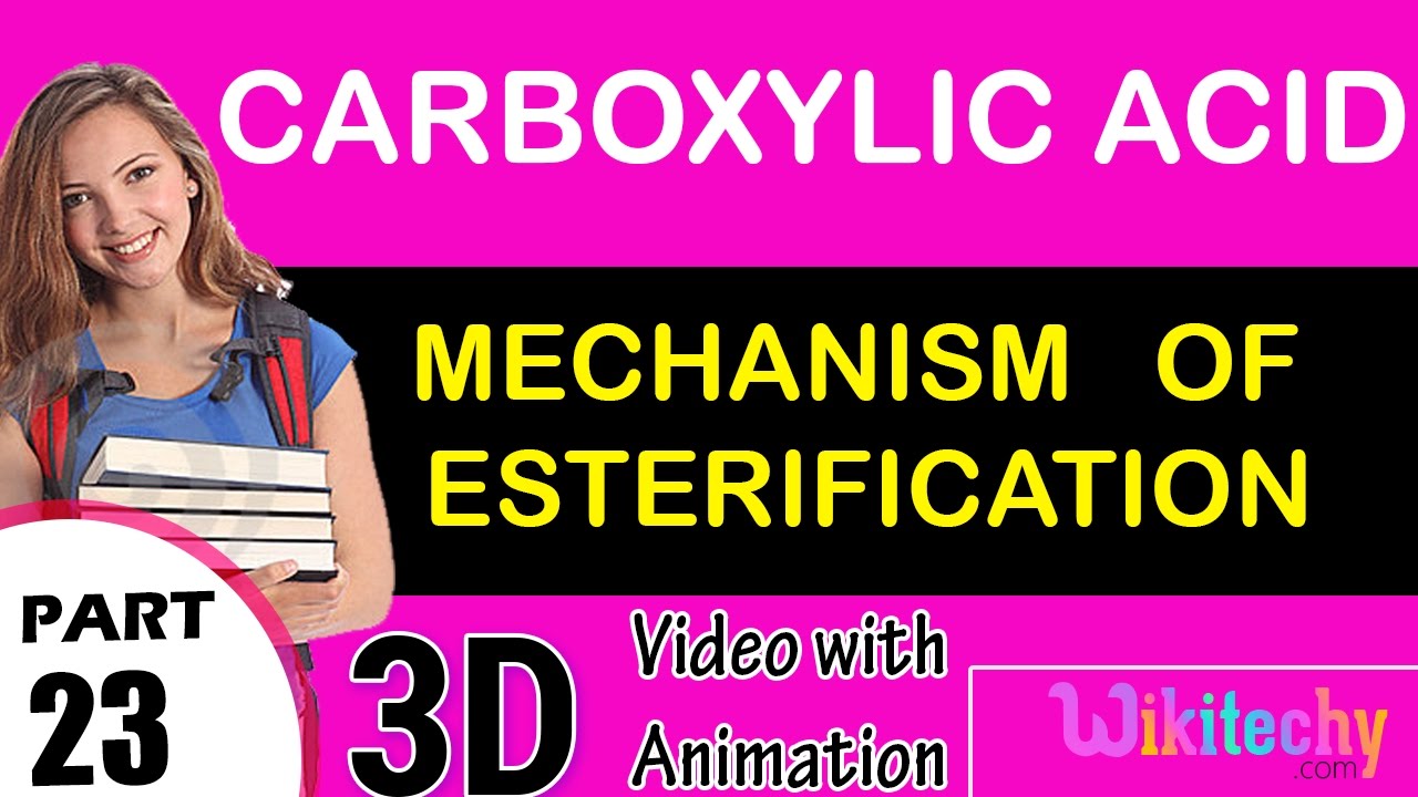 Mechanism Of Esterification Carboxylic Acid Class 12 Chemistry Subject mechanism-of-esterification-carboxylic-acid-class-12-chemistry-subject