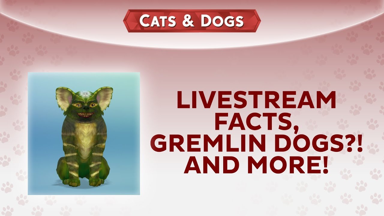 The Sims 4 Cats & Dogs: Livestream Facts, Gremlin Dogs?! AND MORE ...