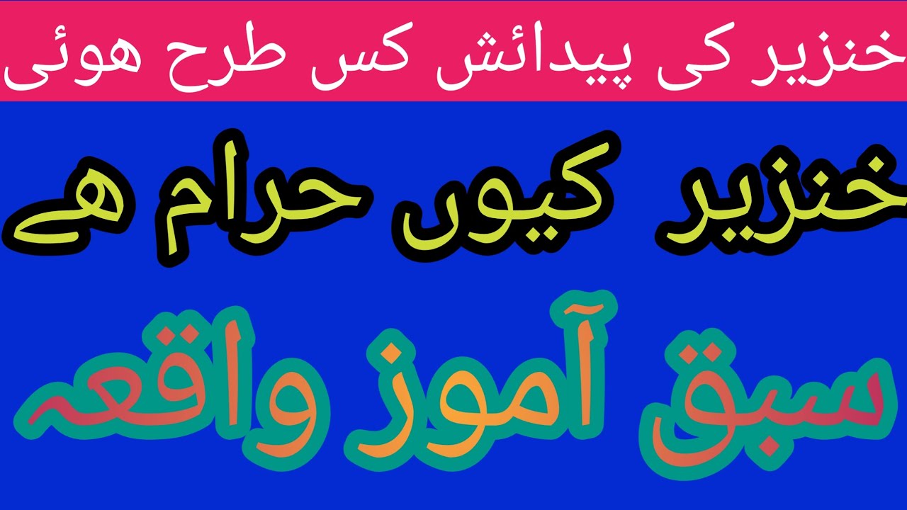Khanzeer ki padiash kis Tara hooee .Khanzeer ka ghoosht Kuan harambee ...