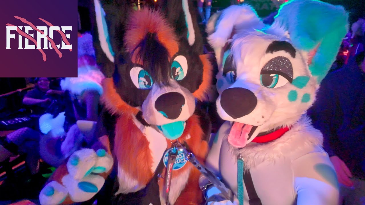 A Furry Night Club in Toronto, Canada! Fierce: Furry Buddies 5 - April ...