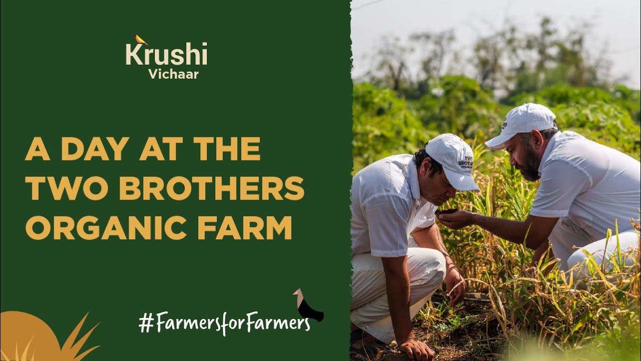 How does a day starts at the farm? | Two Brothers Organic Farms 🌱 - YouTube