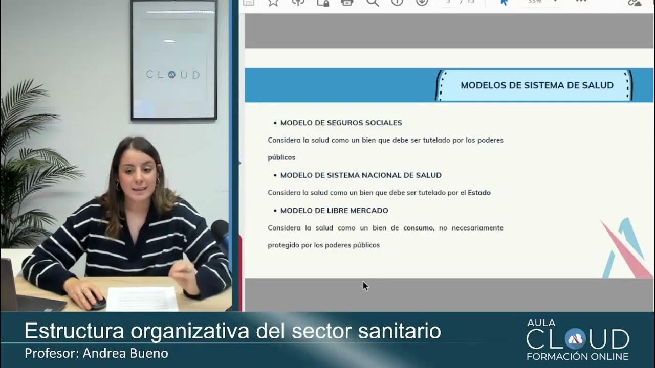 Análisis de la estructura organizativa del sector sanitario - YouTube