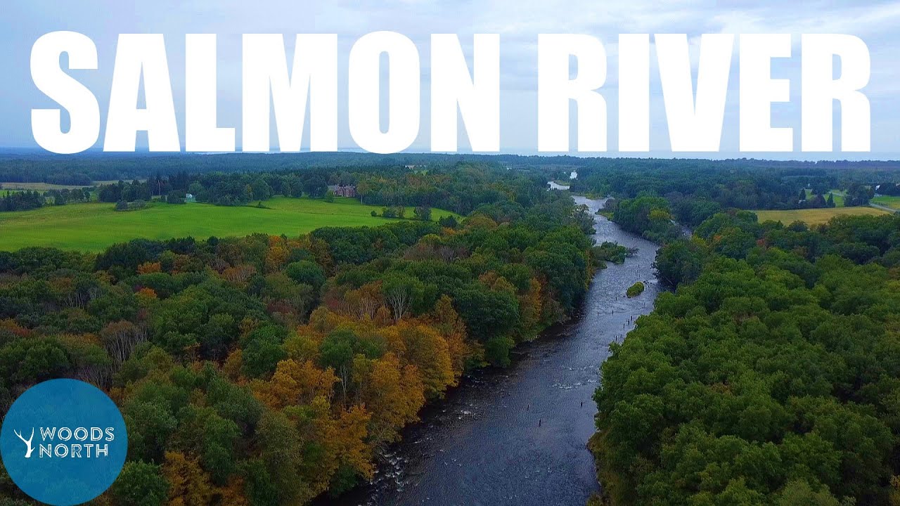 Fly Fishing for GIANT King Salmon | Douglaston Salmon Run (Salmon River ...