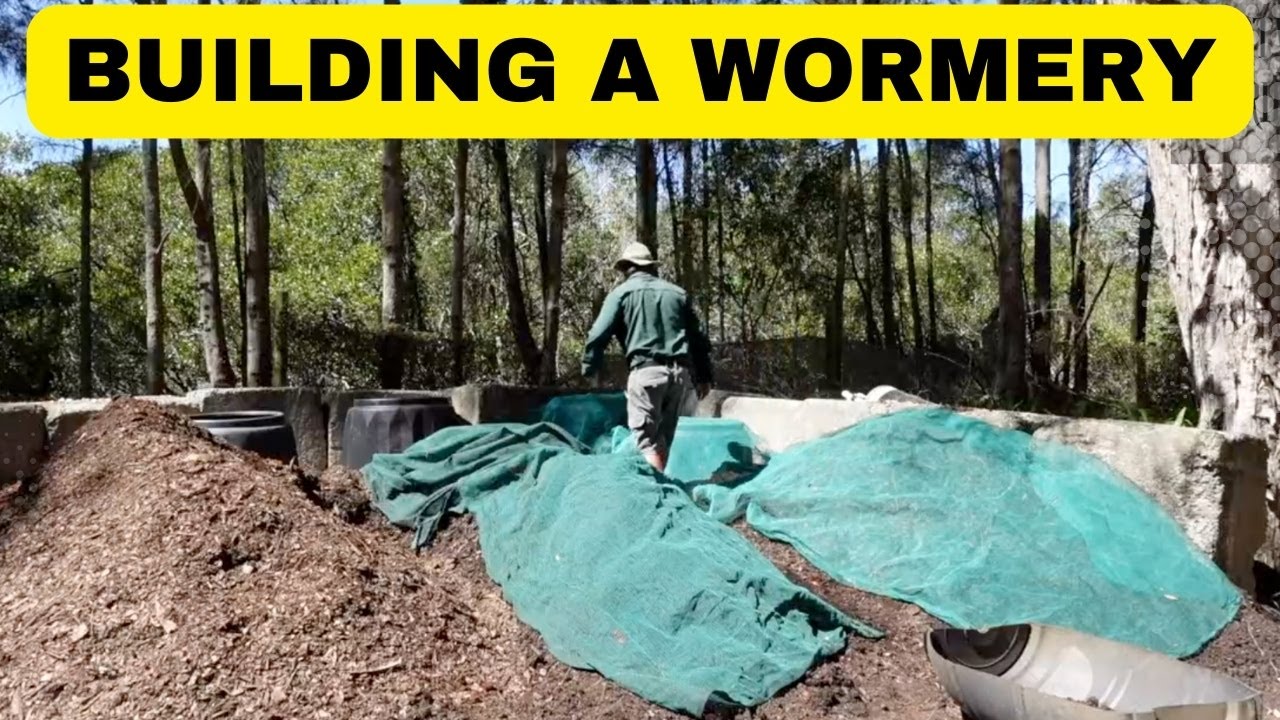 Building A Wormery With Big ABOVE GROUND WORM FARMS - YouTube